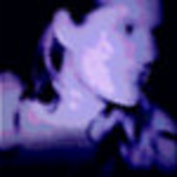 The Witchy Homestead - Etsy