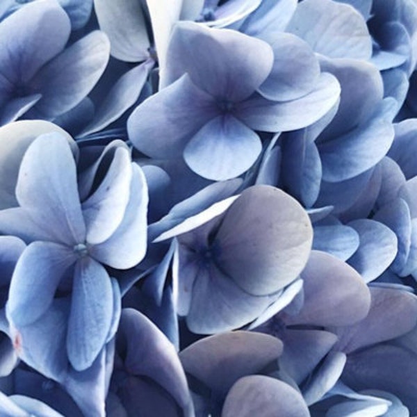 Long Elf Hat Sewing Pattern/downloadable PDF File and Tutorial Book - Etsy