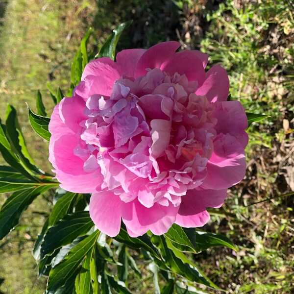 Think Twice Before You Talk About My Kid Svg Png, Funny Softball Mom ...