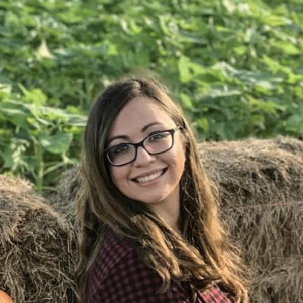 Luffy Sabo Ace One Piece Stickers Cats Anime Vinyl Sticker - Etsy