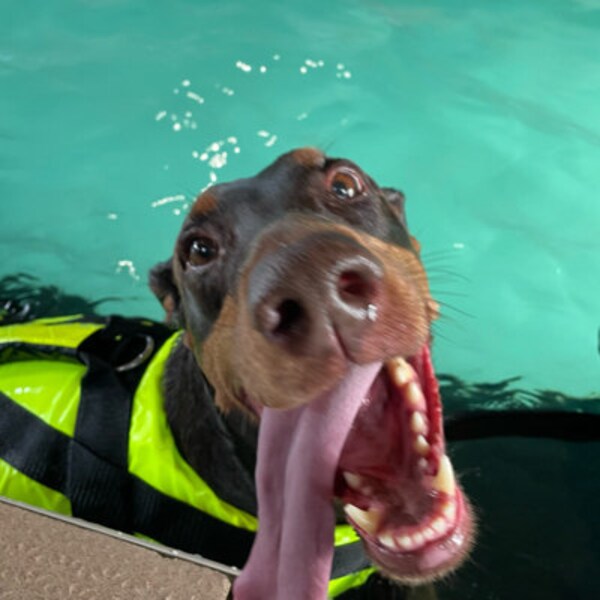 Dandy Dancers Champagne Flute Hand Painted Glass can Be Personalised ...