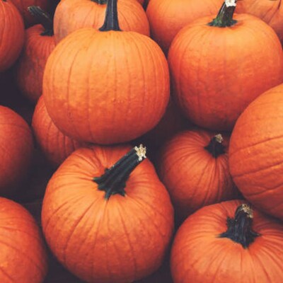 Zoe Neves's favorite items - Etsy