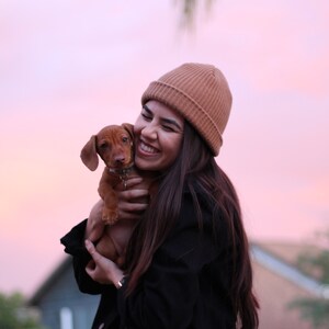 Weenie Dog Valentine Printable Dachshund Puppy Weiner Dog Non Candy ...