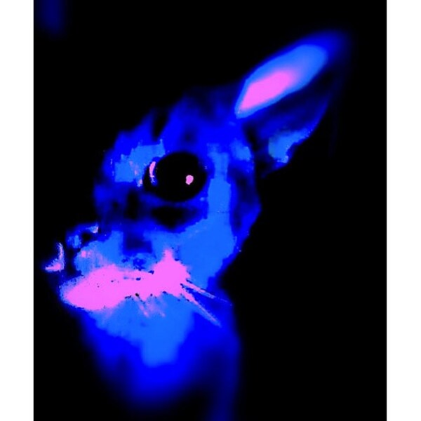 Baby Little Alien Anime, Manga, Sci Fi, Fantasy Figurine Creature ...