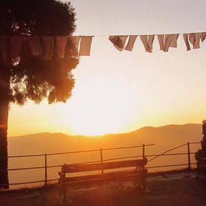 Top Banana Card - Etsy