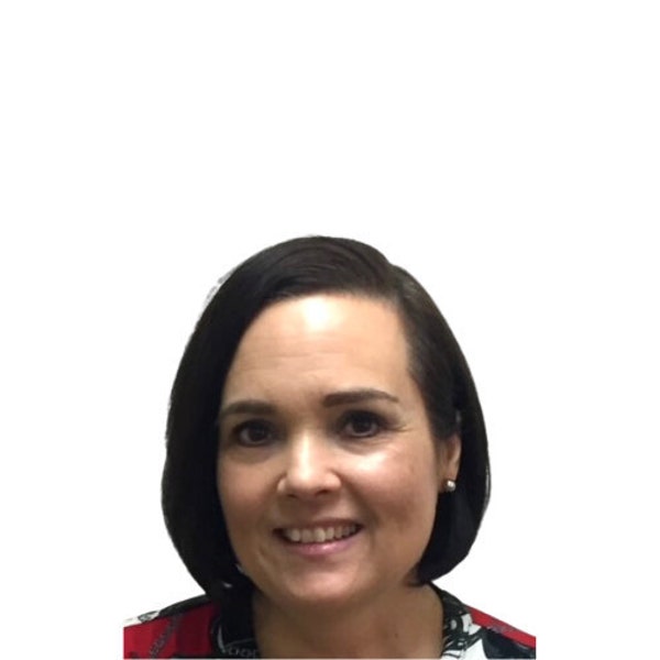 12 X 18 Queen Elizabeth I Flag 12 X 18 Banner Grommets House Banner ...