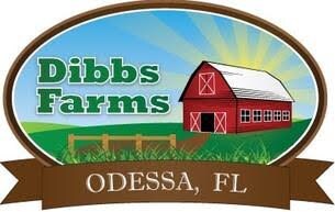 DibbsFarms - Etsy