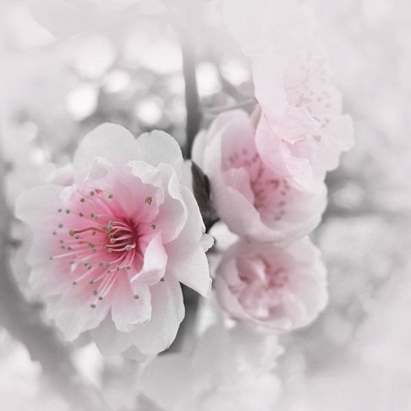 Sewing Pattern for Womens Nightgowns & Pajamas, Butterick B6883 ...