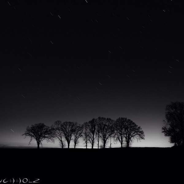 Acorn Jumping Spider Enclosure, Sling Jumping Spider Container Home ...