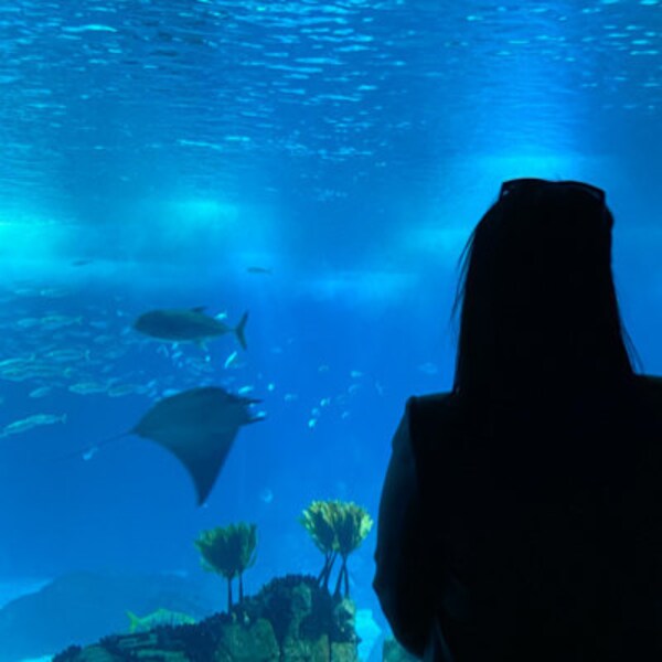 Custom GBASP IPS Modded Gameboy Advance SP Backlit Screen With New ...