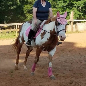 American OAK Framed Engraved Barrel Racer's Prayer - Etsy