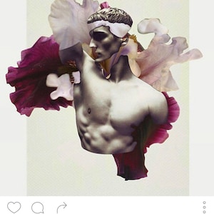 Taxidermy Bird Wings, Real Bird Wing, Chicken Wing, Partial Wing, 8 X 2 ...