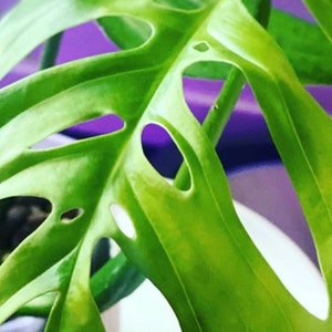 Personalised Coldplay Birthday Card Chris Martin, Yellow, Fix You ...