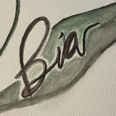 ziabia - Etsy