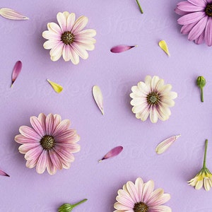 Printable Name Plate, Editable Student Desk Plate, Back to School ...