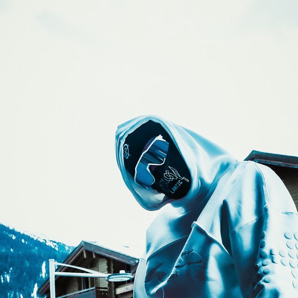 ANIMATED Pokemon Eevee Raid Alert Package Twitch Stream Assets Cute ...