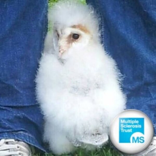 Art Nouveau Absinthe Poster Japanese Lady Print Vogue Fashion Bold Art ...