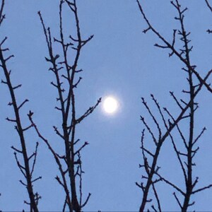 Office Gloves - Etsy