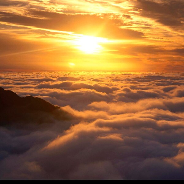 Caja De 100 Cascarilla Efun Santeria Osha Ifa Palo Egun Prenda Orishas ...