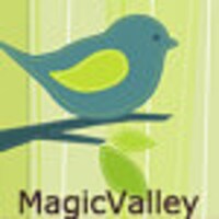 MagicValley - Etsy