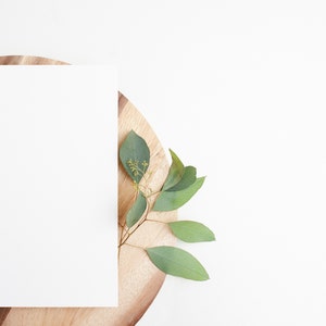 Winter Fun Christmas Cross Stitch Pattern Sledge Riding Geese Cross ...