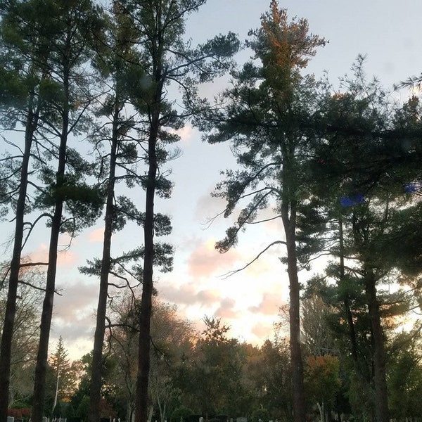 Printable IEP Goal Sticky Note Templates, Progress Monitoring, IEP ...