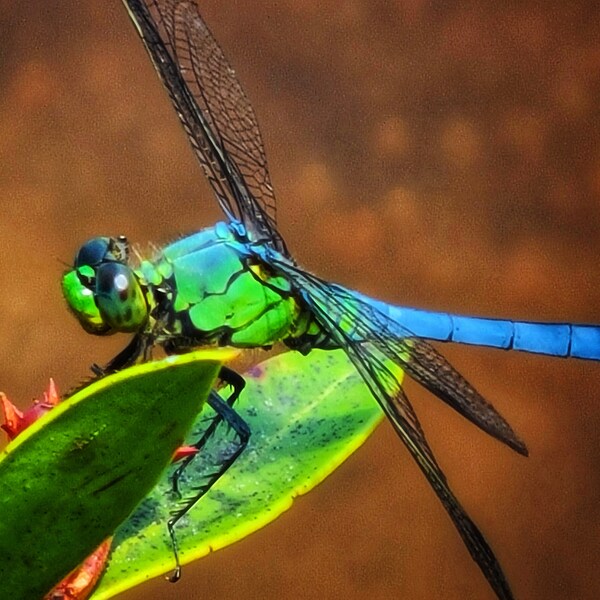 EDITABLE Prom Proposal Sign Proposal Sign HOCO Proposal Music ...