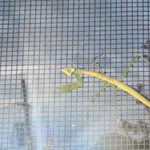 Thank You Card for Microbiology Professor, Chemistry, Biology, Science ...