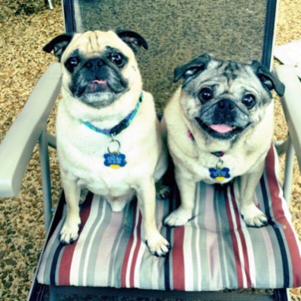 My Other Ride is A Tardis Vinyl Decal Tardis Bumper Sticker Dr Who ...