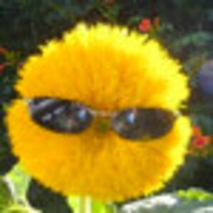 Gothic Daisy Stained Glass Pattern. © David Kennedy Designs. - Etsy