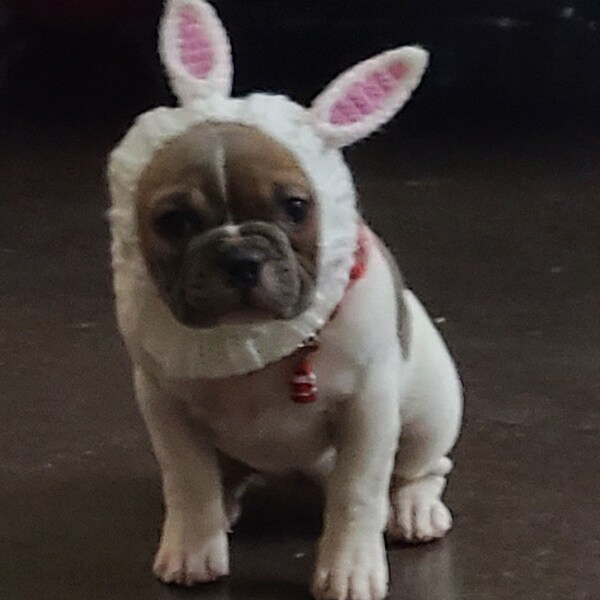 Tin Man Funnel Hat, Tin Man Costume, Tin Man Cosplay, Costume Accessory ...