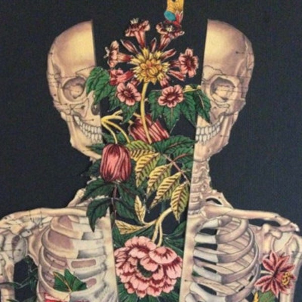 Wild Flower Seed Bombs With Labels // Handmade Clay Seed Bombs - Etsy