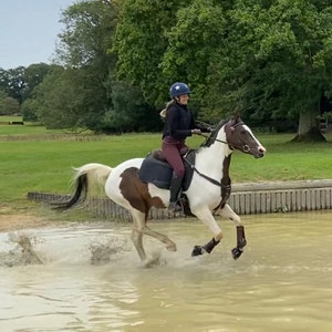 The Detectorists A4 Signed Limited Edition Giclee Print - Etsy UK