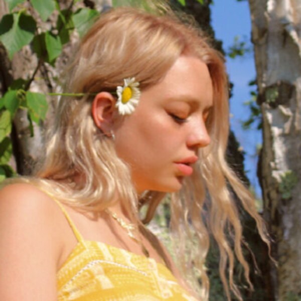 California White Organic Sage HUGE Smudge Stick - Etsy