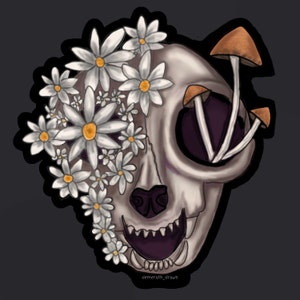 Deer Skull Deer Skeleton Rose Garden Deer Animal Bones Skeleton Deer ...