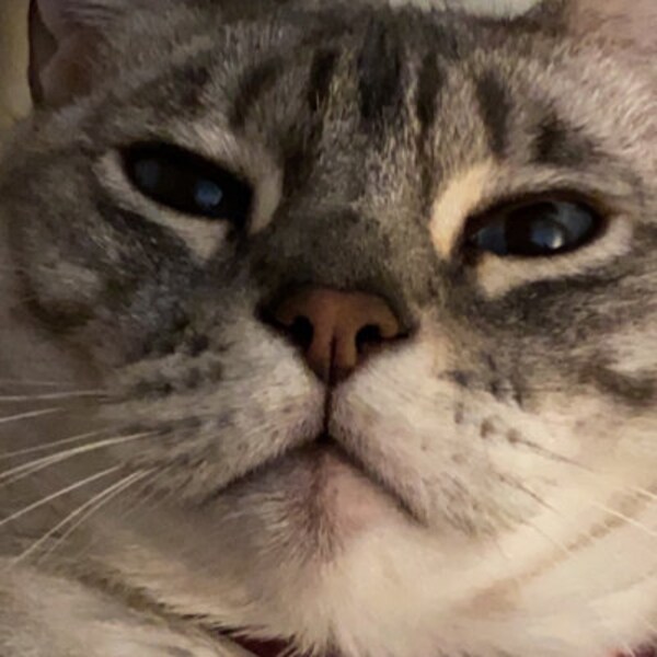 Microbiology Keychain Acrylic Shaker,bacteria Keychain, Gift for Lab ...