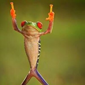 Womens Tree Ring T Shirt Organic Woodcut Tee Tri-blend Woodland Print ...