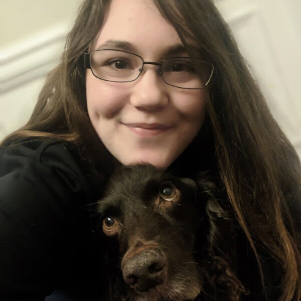 Rainbow Shark Window Clings Reusable Removable Stained Glass Suncatcher ...