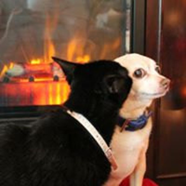 Scarecrow Pumpkin Patch Autumn Fall Bulletin Board Kit - Etsy