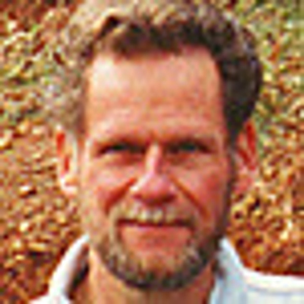 Mourning Dove Photograph, Digital Download, Nature Wildlife Photography ...