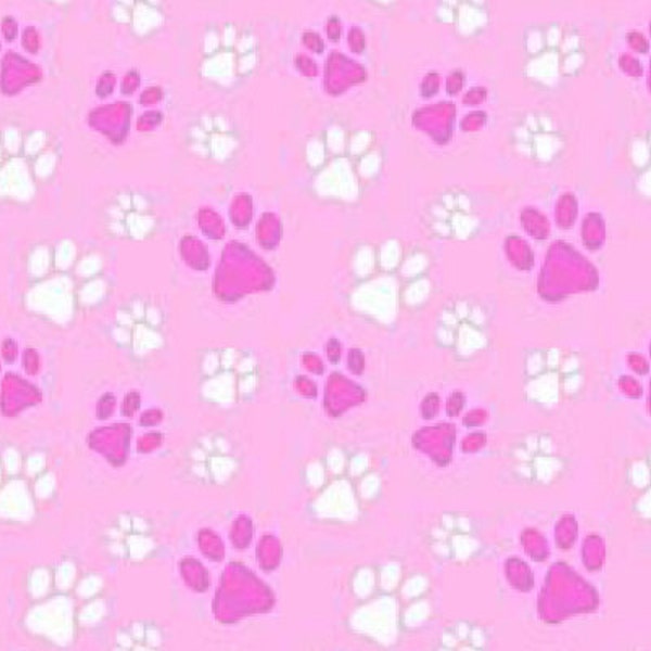 MAHOE Variegated Sea Hibiscus Tropical Tree Live Plant Colored Leaves ...