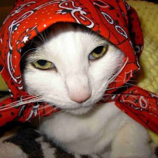 Custom Crochet RASTE Tri-color Monokini Swimsuit Bikini W/your Choice ...