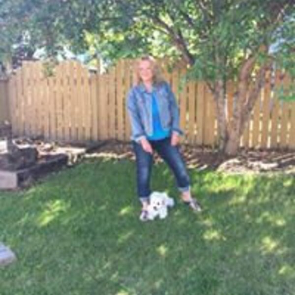 Dried Eryngium, Natural Blue Thistle, Dried Thistle, Natural Dried ...