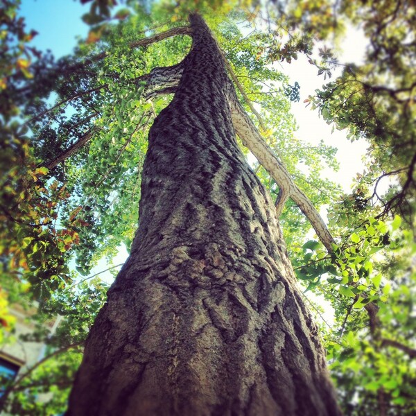 Mucha Gypsy Embroidered Patch Back Patch Backpack Patch Embroidery ...