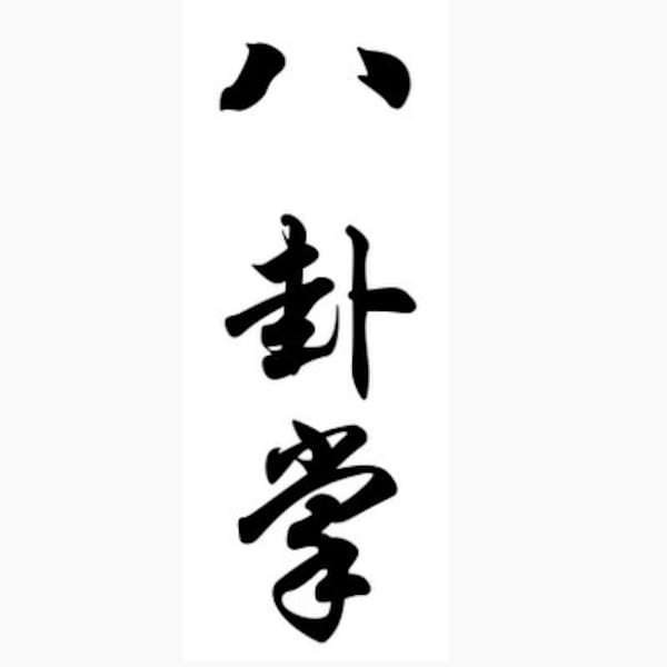 All About Articulation: Anatomy and Place, Manner, Voicing Poster With ...