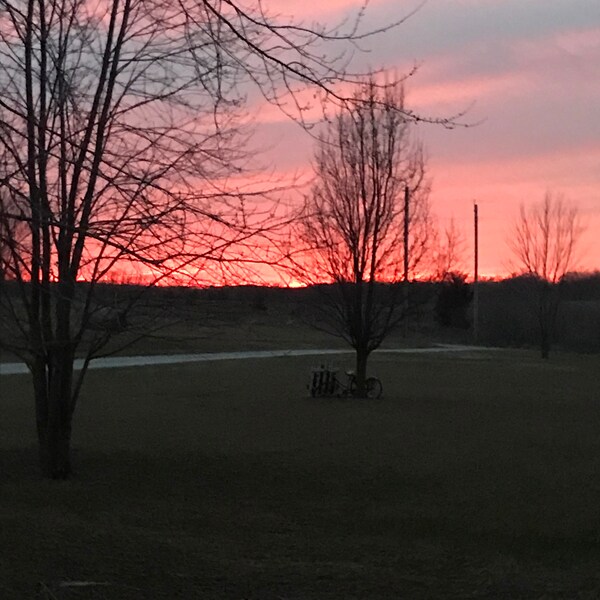 Printable MOM and DAD Flag Tag Set, DIY Packaging for Photo Planter ...