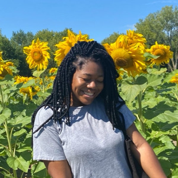 Set of 6 Educational Posters, Alphabet, Numbers, Colors, Shapes ...