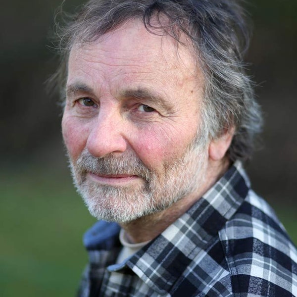 Sunflower Signed, Contemporary, Fine Art, Giclée Print of an Original ...