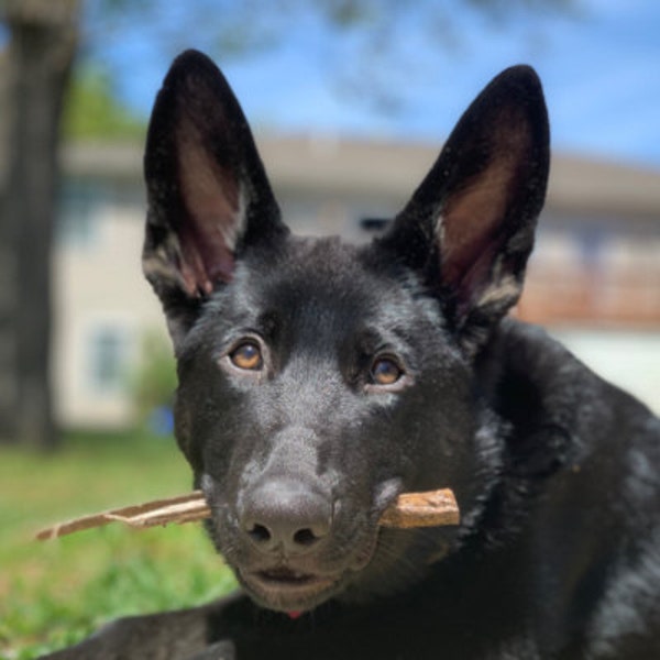 Ope Michigan Saying Vinyl Sticker, Michigan Slang and Sayings - Etsy