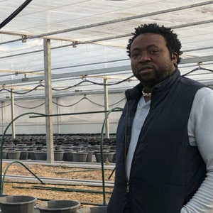 400 Organic Seeds of Waterleaf Gbure, Mgbolodi and Ebe Dondon, Talinum ...